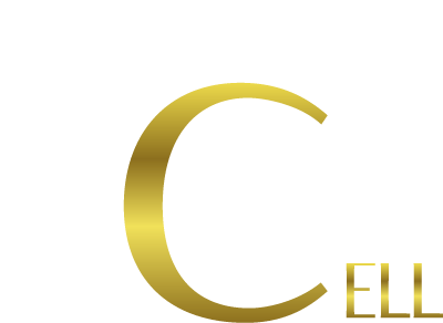 Next Cell - Simplifying Complex Financial Landscapes